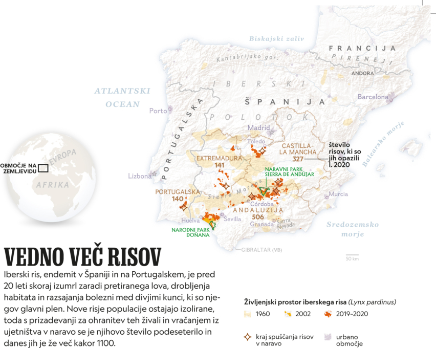 Iberski ris – National Geographic Slovenija