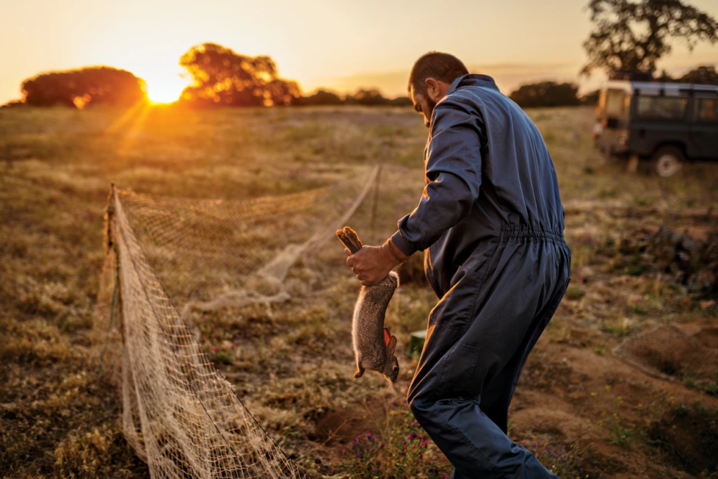 Iberski ris – National Geographic Slovenija